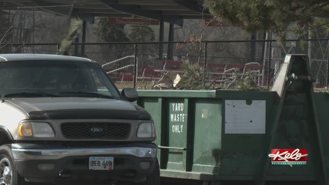 Rapid City offering Christmas tree and light disposals