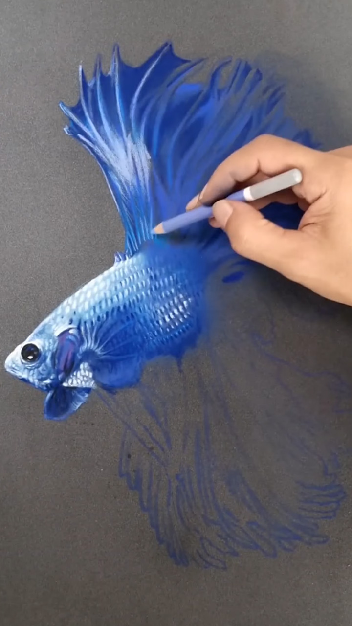 Elegant blue betta fish drawing with stunning realistic detail
