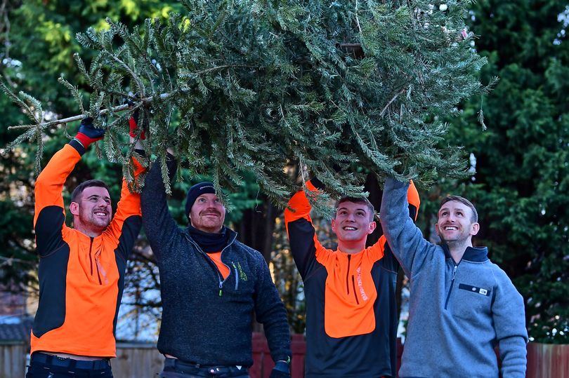 Where to recycle your real Christmas tree in Liverpool this year