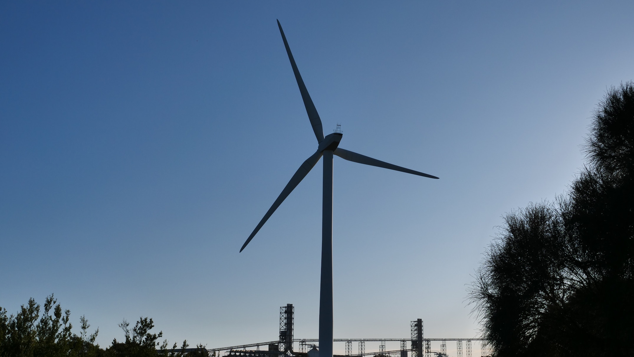 Experts say climate change bigger threat to biodiversity than renewable ...