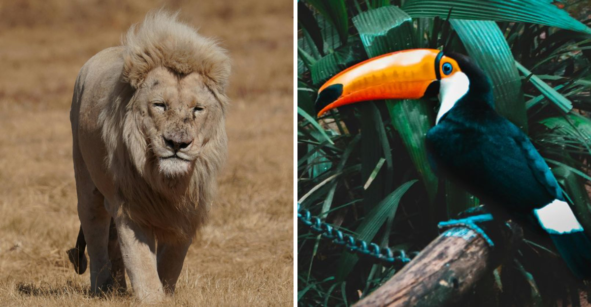 12 of the most valuable animals in the world