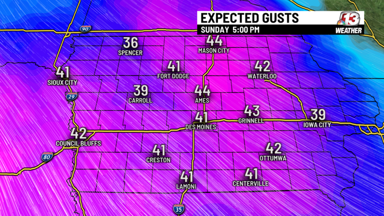 Fog, rain, wind and snow. Oh, and cold.