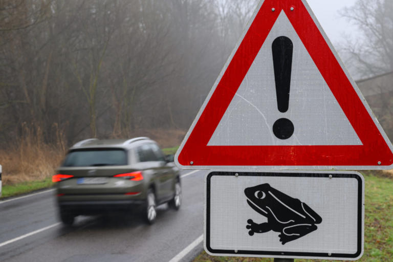 Wetter macht's möglich: Darauf sollen Autofahrer jetzt achten