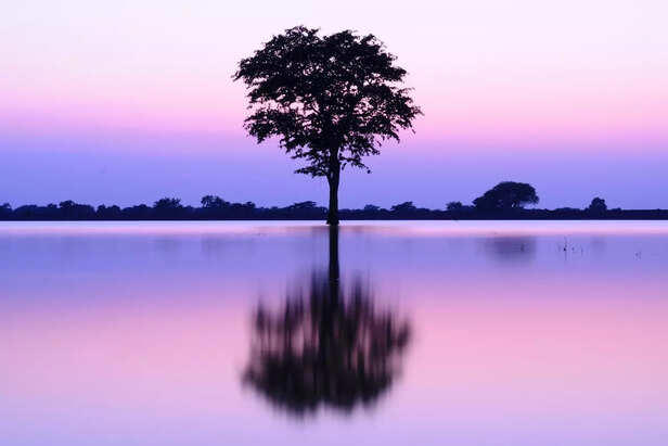 6 Indian lakes that blur the line between sky and earth