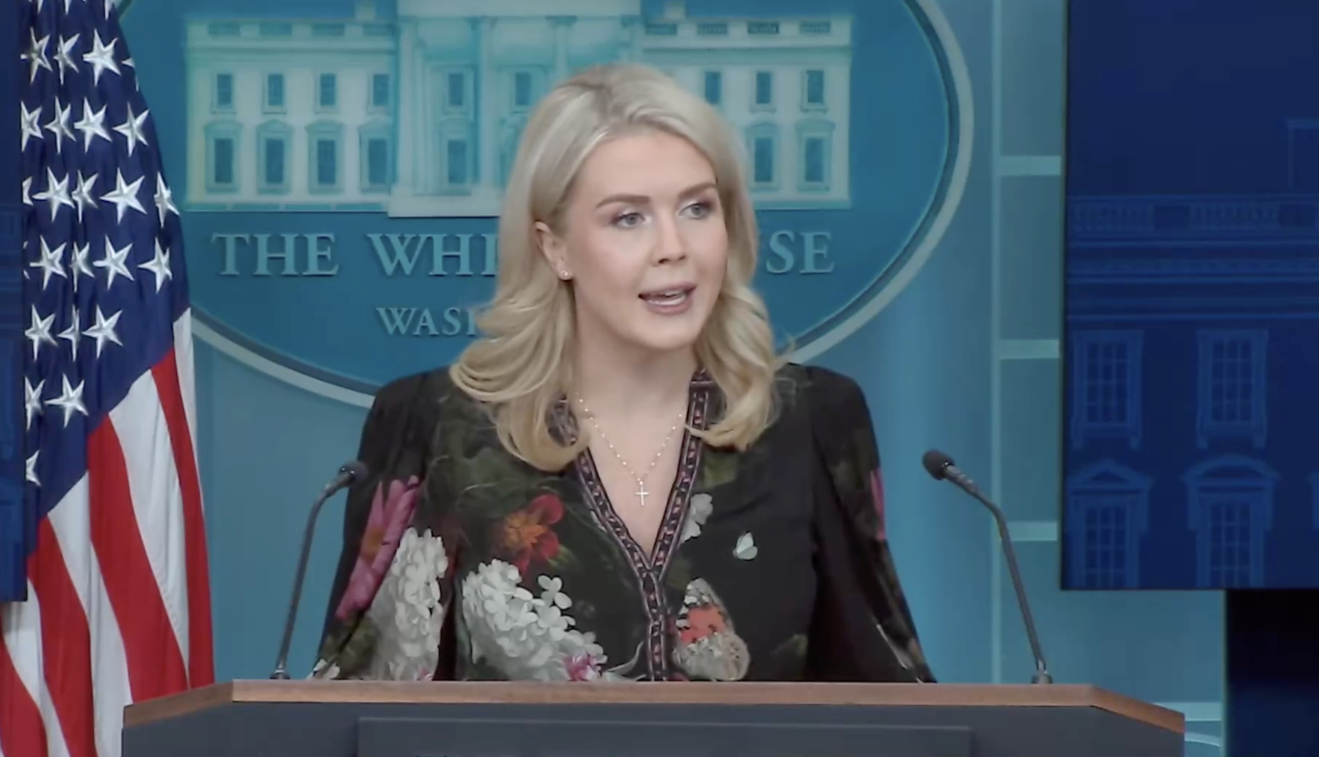 'Why is that even open for discussion?': Karoline Leavitt trembles as ...