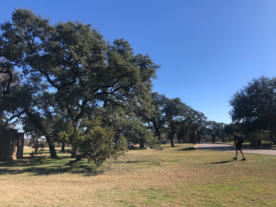 Doctor explains cedar fever remedies and medication