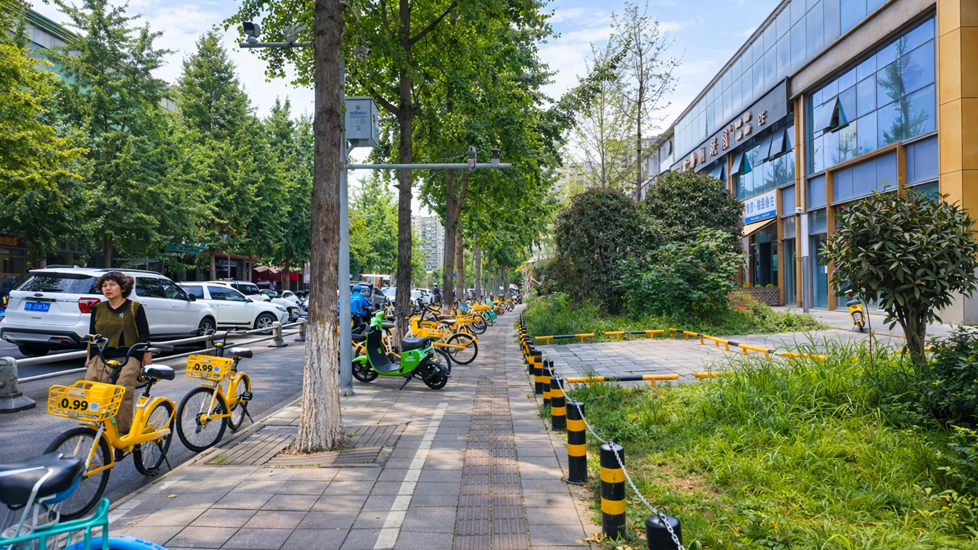 Experience the perfect balance of nature in Chengdu