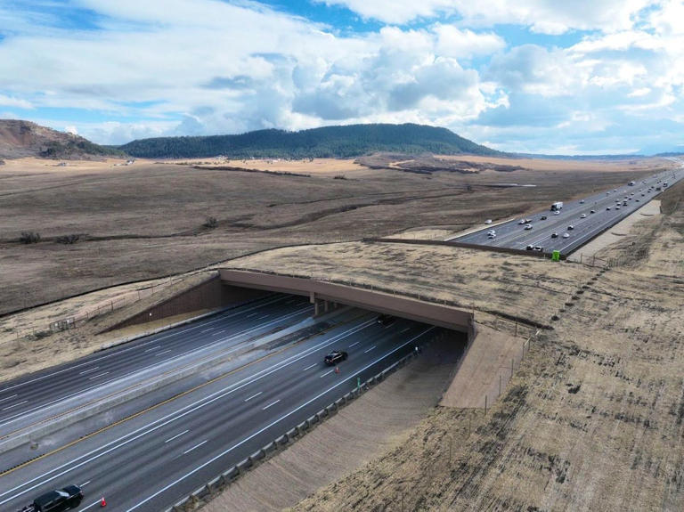 Voici le plus grand pont pour animaux sauvages au monde