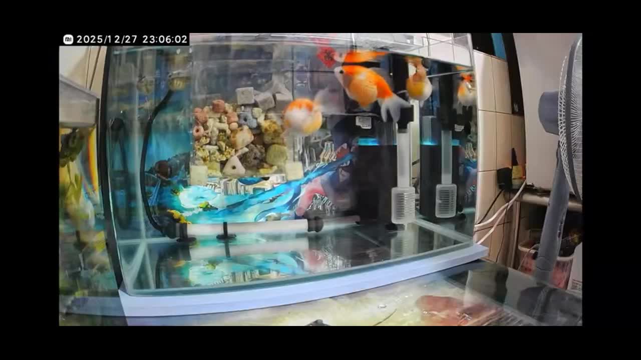 Security camera captures goldfish tank sloshing during Taiwan’s ...