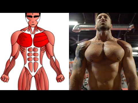 Balloon method full body workout builds total body mass fast