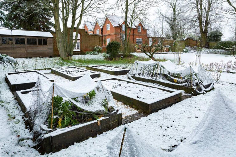 King Charles' ex-gardener shares crucial January tasks for your garden