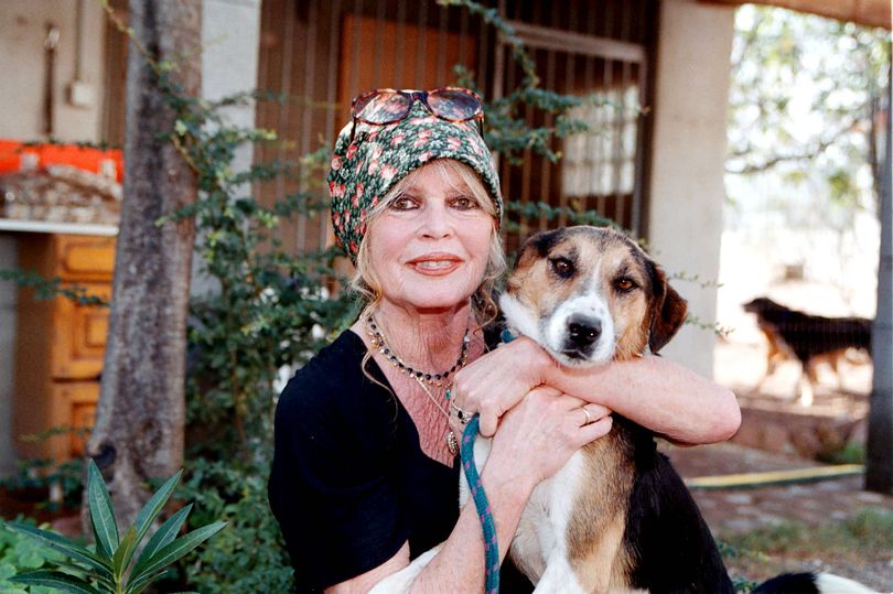 Legendary French actress and animal rights activist Brigitte Bardot ...