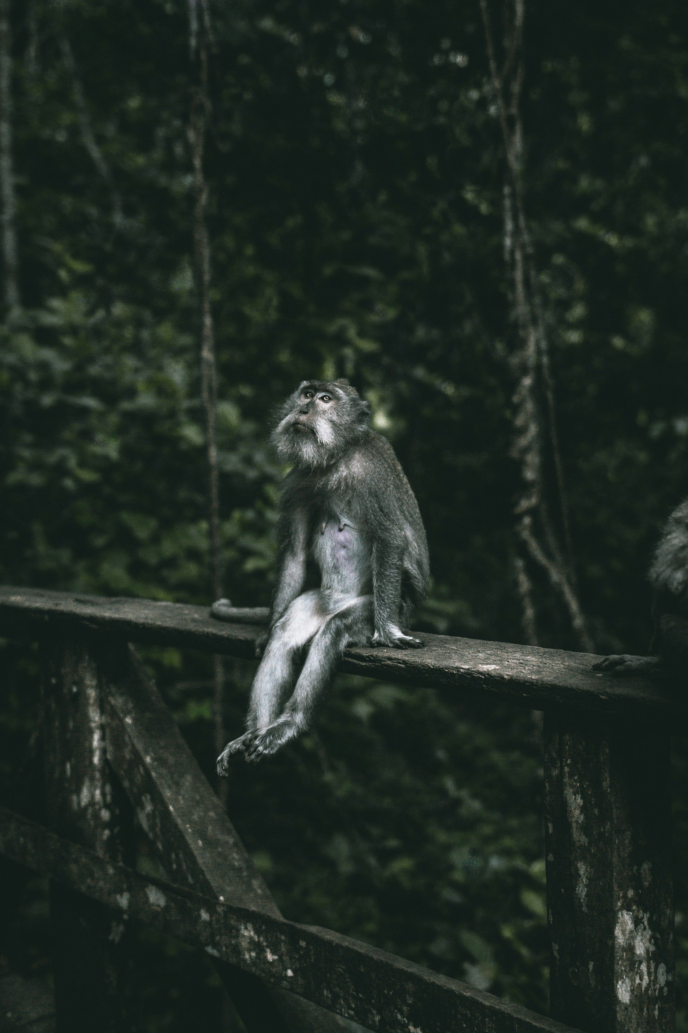 Real people reveal the creepiest things nobody believed