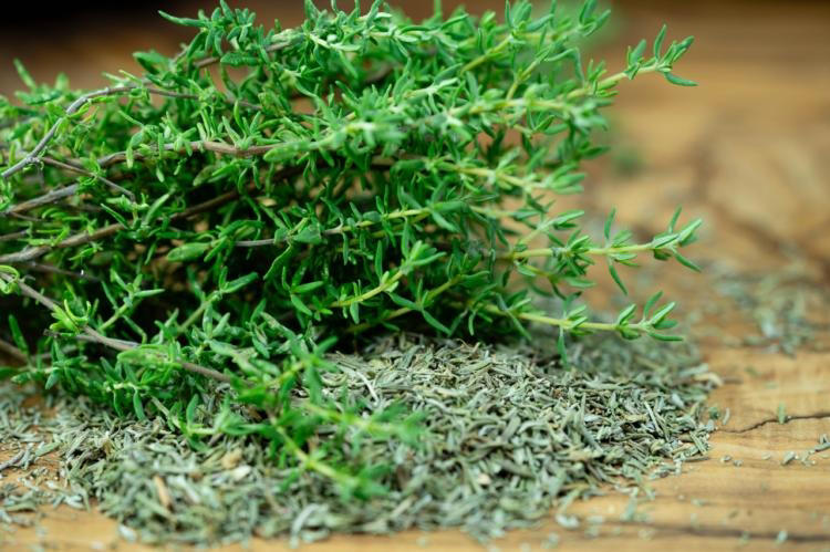 Le thym, une plante aromatique précieuse pour traverser l’hiver : les ...