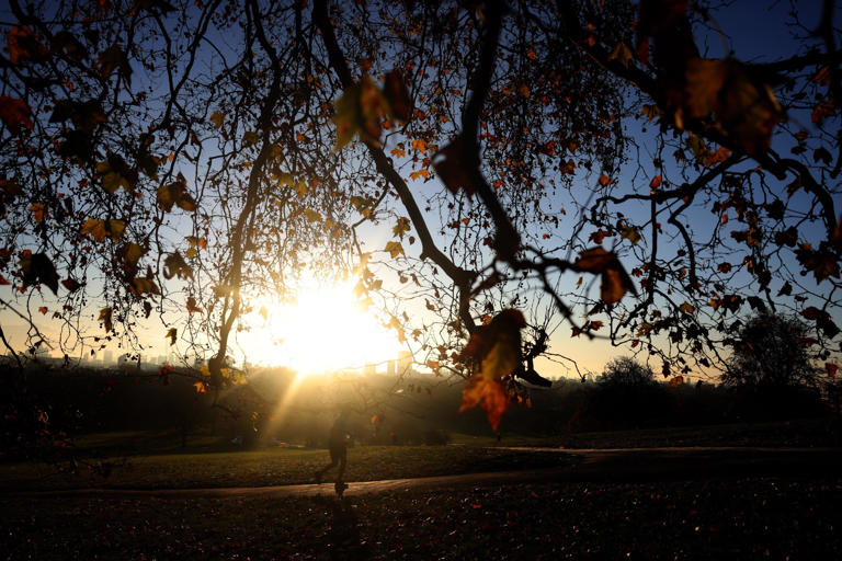Domenica con il sole e temperature miti