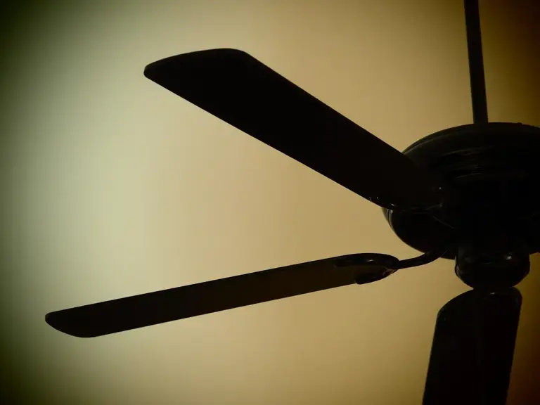 Why ceiling fan direction matters more than you realize - and how it ...