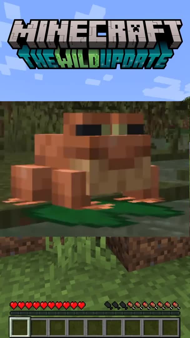 LOS CAMBIOS QUE HARÁ MINECRAFT EN LA VERSION 1.19 (The Wild Update)