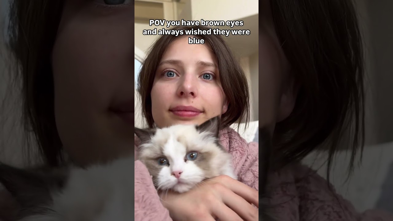 Girlfriend vs cat eye battle