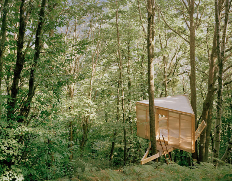 Olin Petzold nestles self-built treehouse in Swiss valley