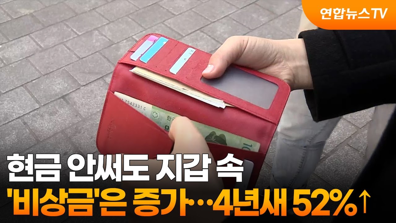 현금 안 써도 지갑 속 '비상금'은 증가… 4년 새 52%↑ / 연합뉴스TV (YonhapnewsTV)
