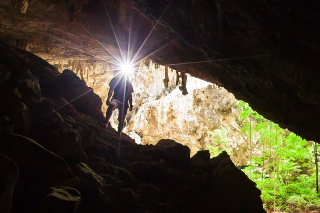 Scientists working in cave discover creatures straight out of mythology ...