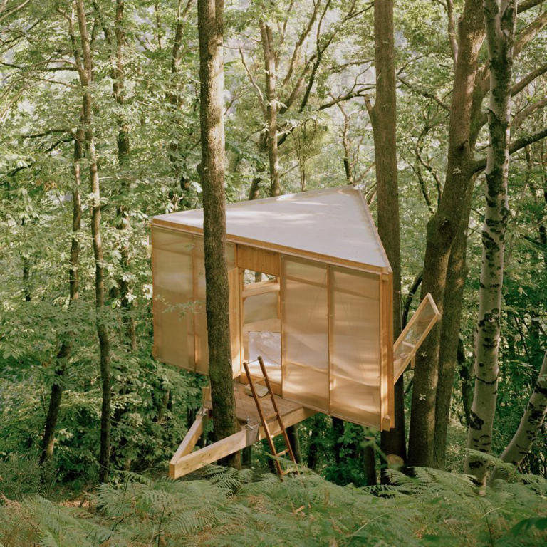 Olin Petzold nestles self-built treehouse in Swiss valley