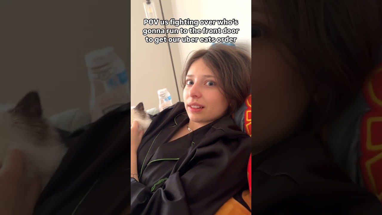 Owner refuses to move because an adorable cat is sitting on his lap