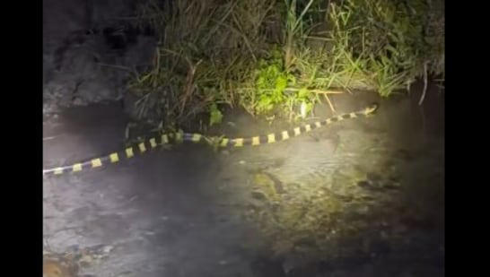 IFS officer spots highly venomous snake during night patrol, marvels at ...