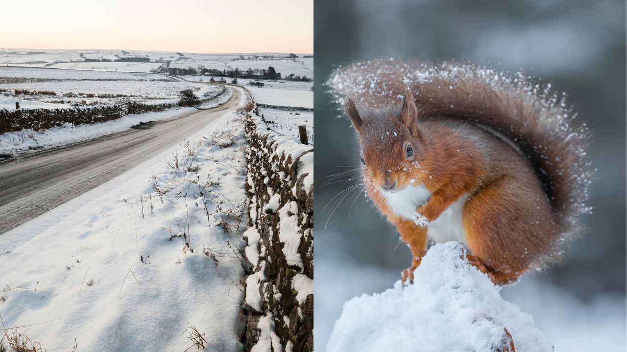 Snow forecast: Met Office forecasts wintry showers for north - where ...