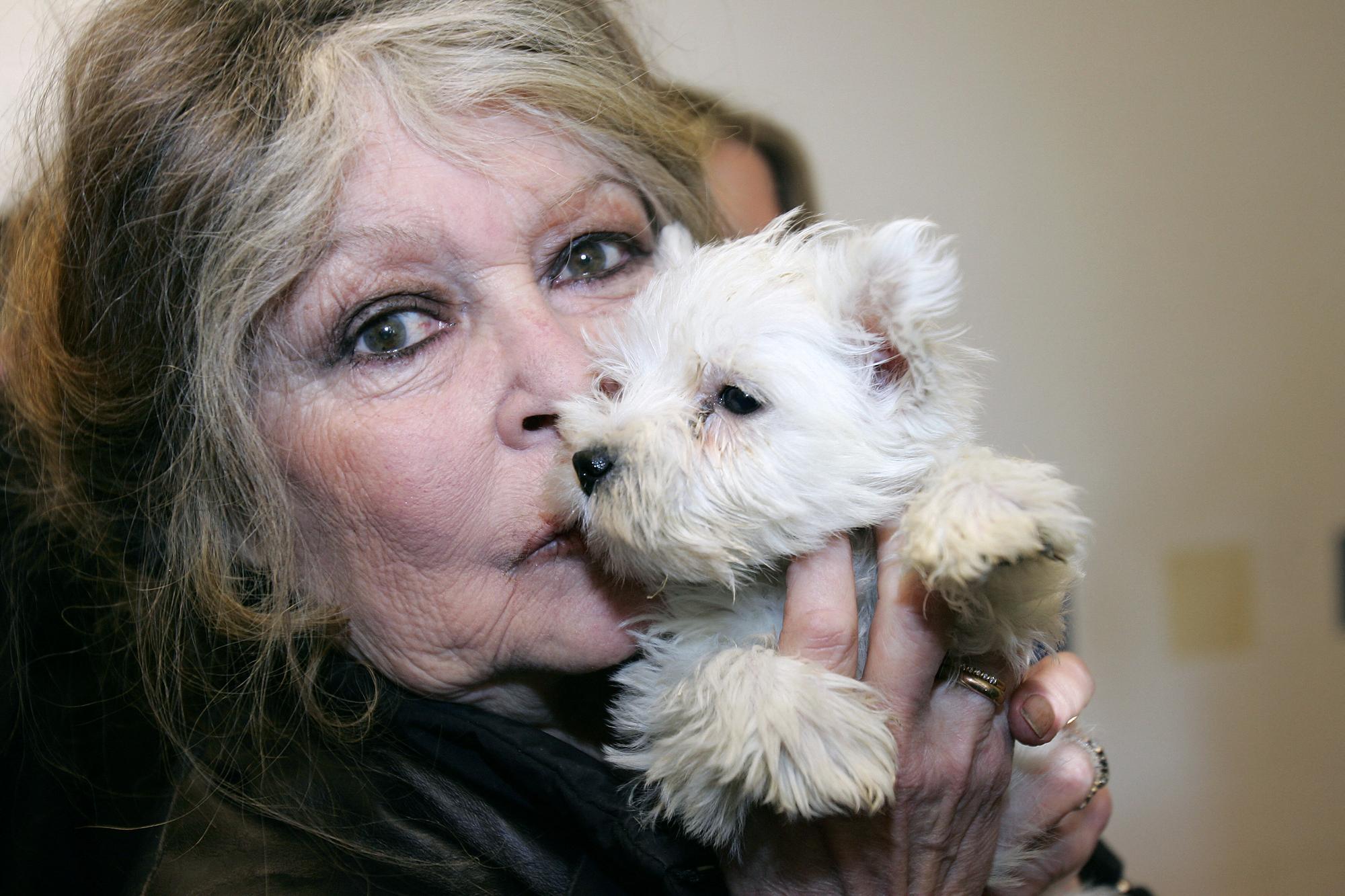 Mort de Brigitte Bardot : sa défense de la cause animale a pris corps ...