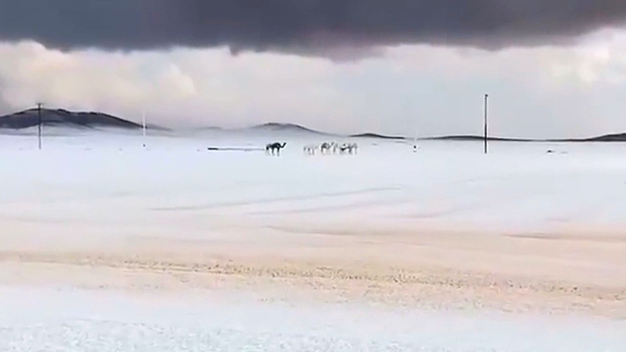 Extremely rare snowfall blankets desert in Saudi Arabia for first time ...