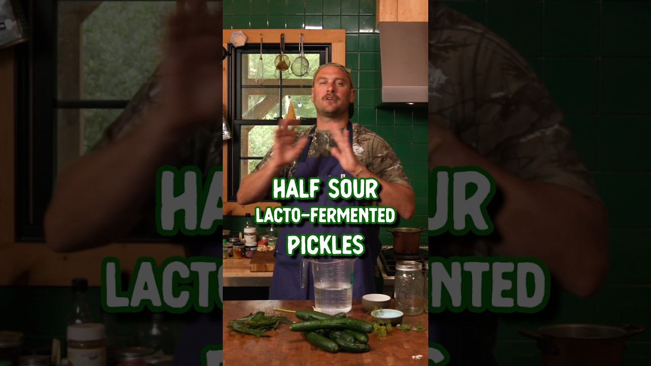 Prepare half-sour fermented pickles for a tangy, crisp snack
