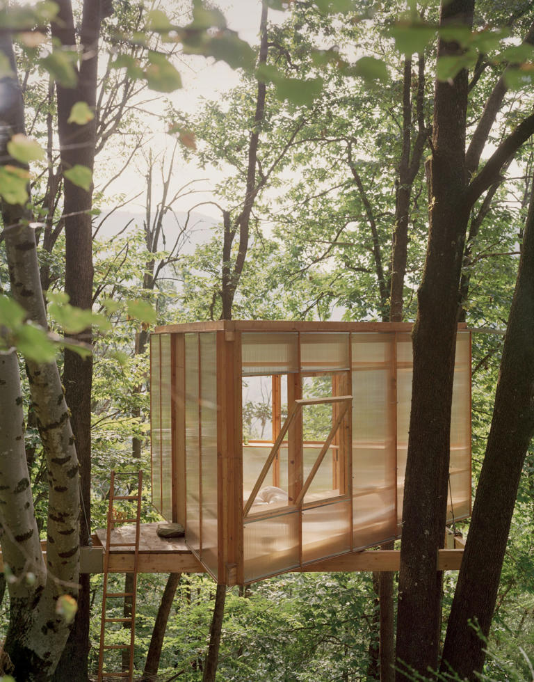 Olin Petzold nestles self-built treehouse in Swiss valley