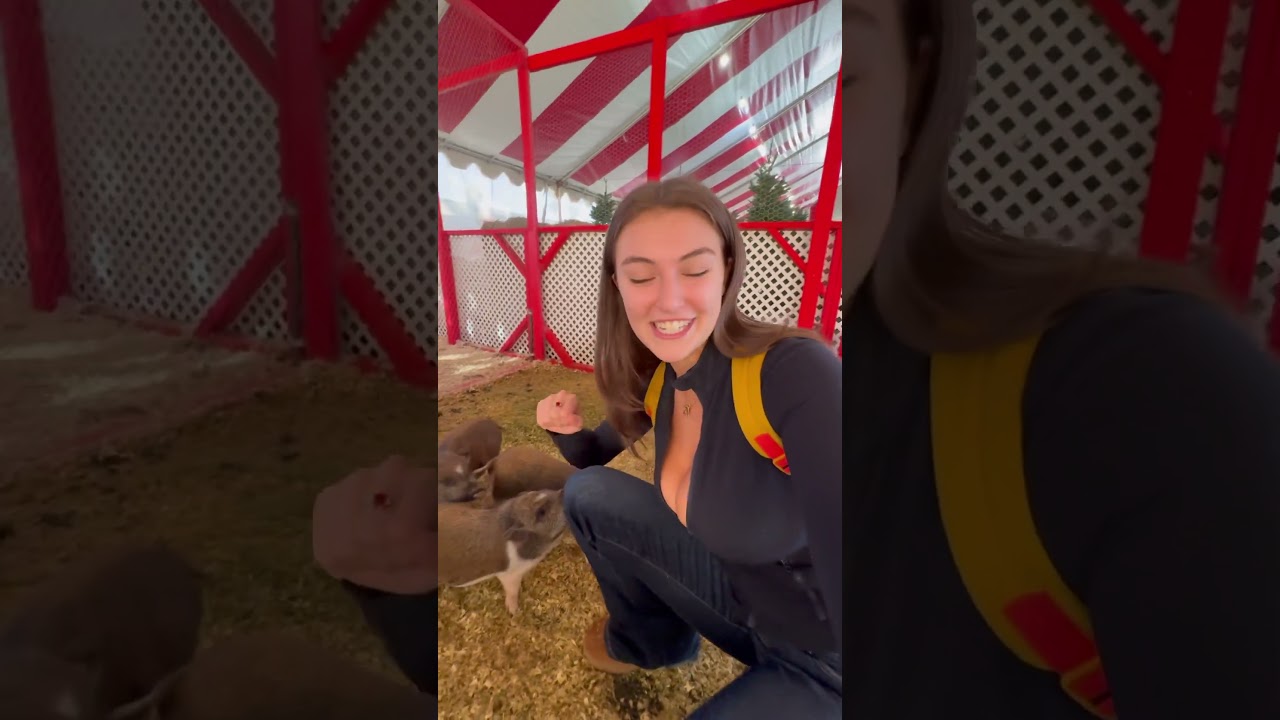Discover why every animal lover needs a tiny baby piglet