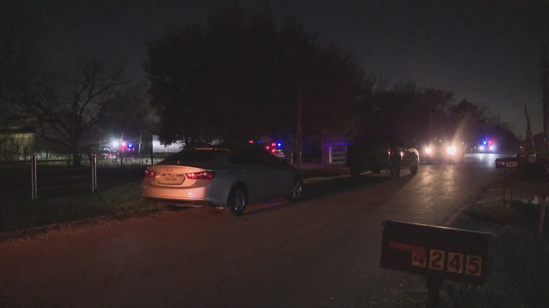 Deputies investigate suspected rooster fighting after dozens found dead ...