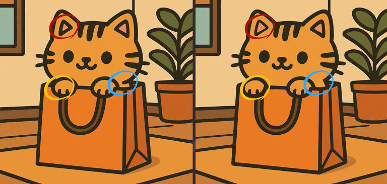 Spot the 3 differences in cat sitting inside a paper bag beat the 45 ...
