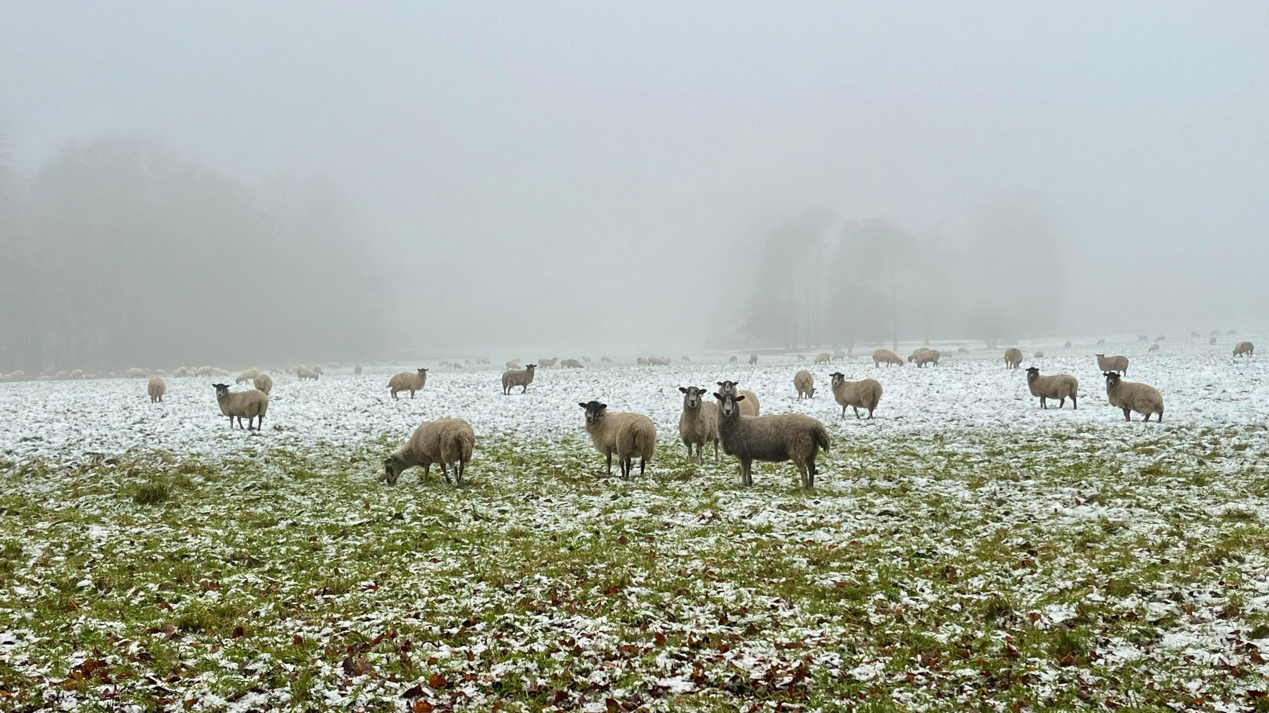 Weather in the South: 2025 round-up