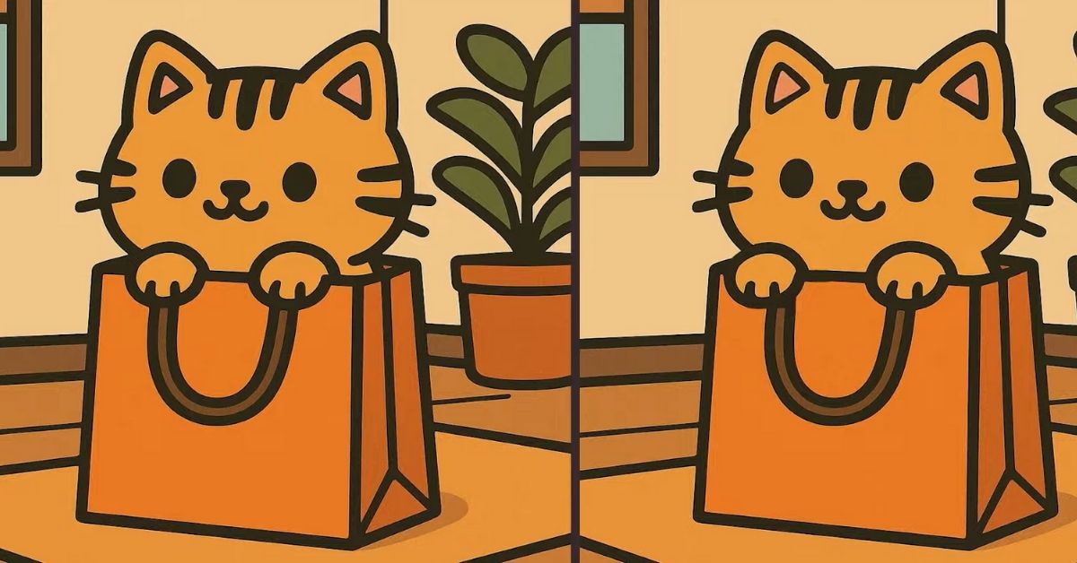 Spot the 3 differences in cat sitting inside a paper bag beat the 45 ...