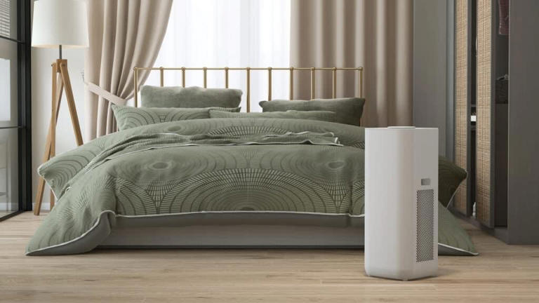 You're using your dehumidifier wrong – these simple fixes can stop damp ...