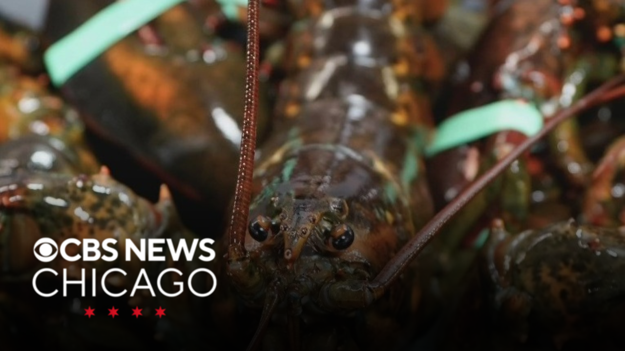 Nearly $400K load of Illinois bound lobsters still missing