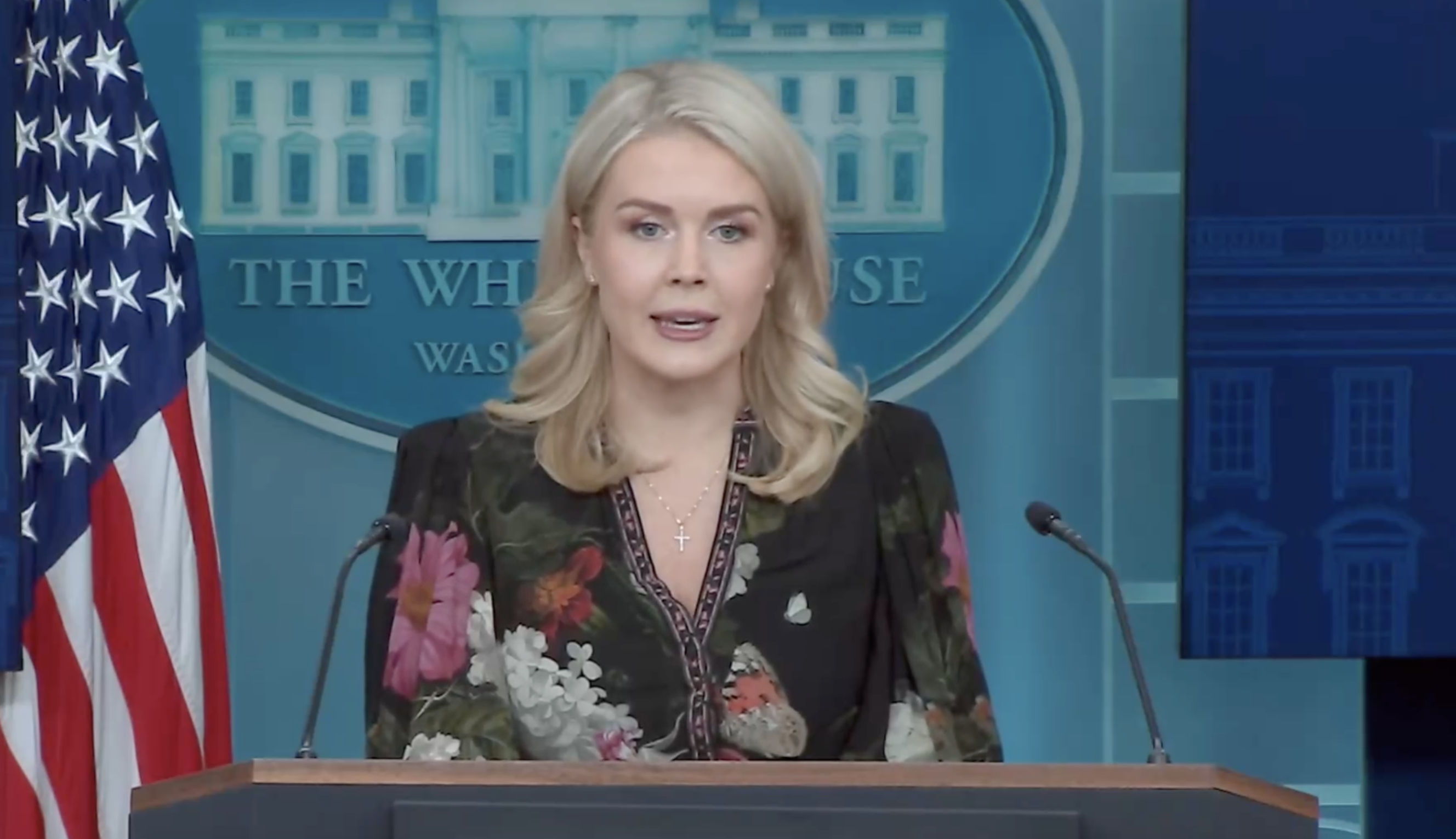 'Republicans need to play tough': Karoline Leavitt demands the GOP ...