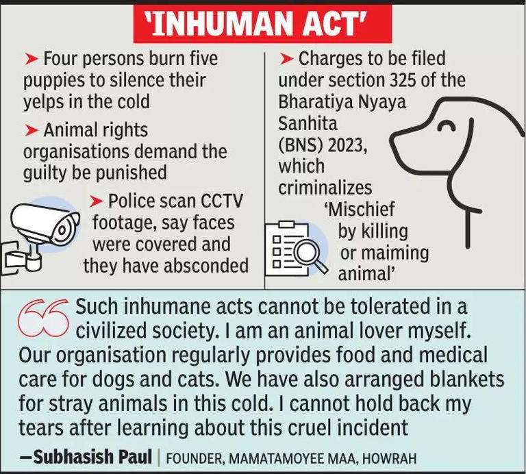 Inhumane act: Puppies burned to death in West Bengal for whimpering in ...