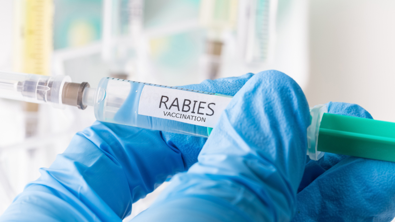 Indian vaccine maker hits back at Australia’s ‘fake rabies shot’ alarm ...