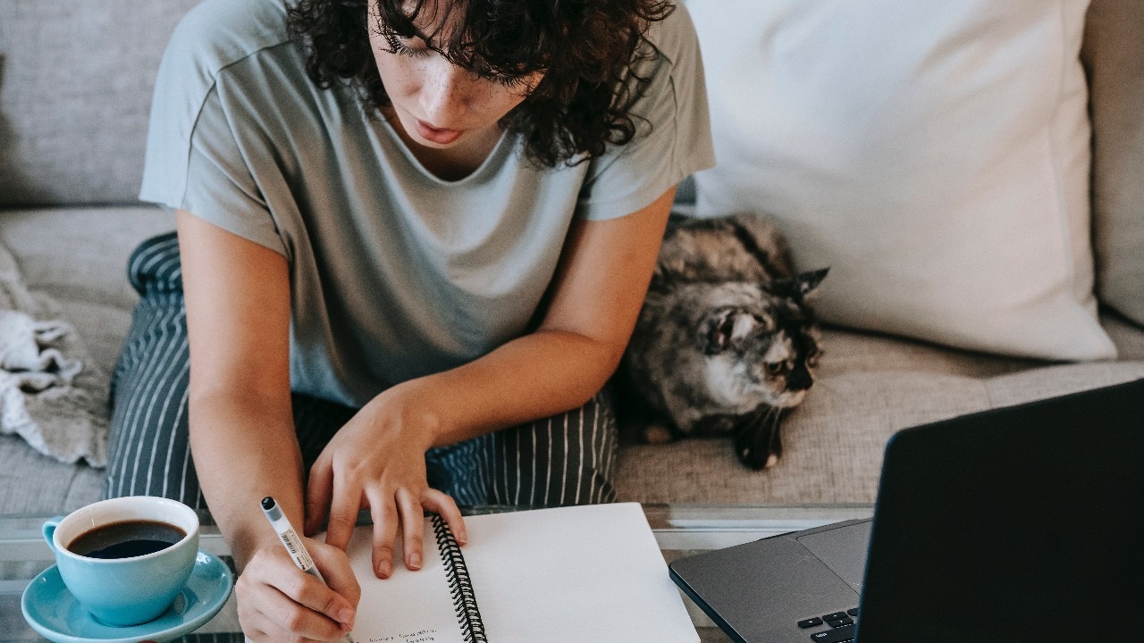 Planning for CUET 2026? Detailed subject-wise syllabus released