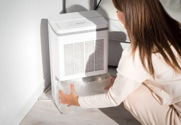 You're using your dehumidifier wrong – these simple fixes can stop damp ...