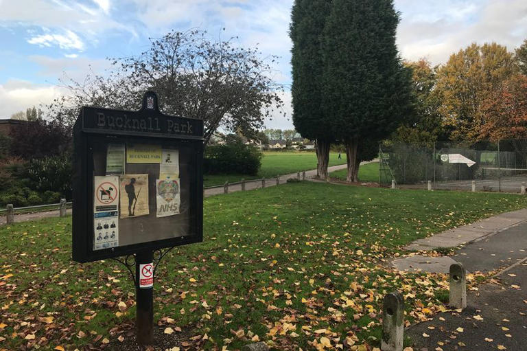 Calls for skatepark in this Stoke-on-Trent park