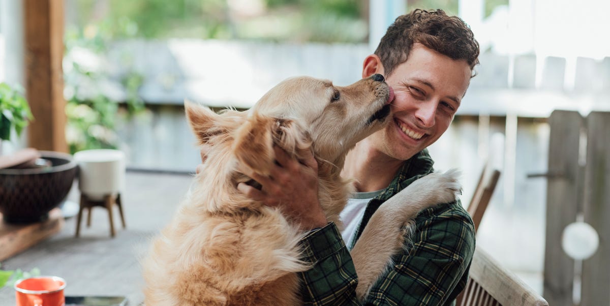 Expertos en comportamiento animal aclaran qué significa realmente ...