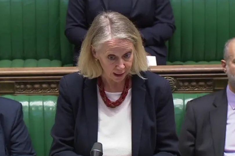Former MP Liz McInnes: Why I'd never go back to Westminster