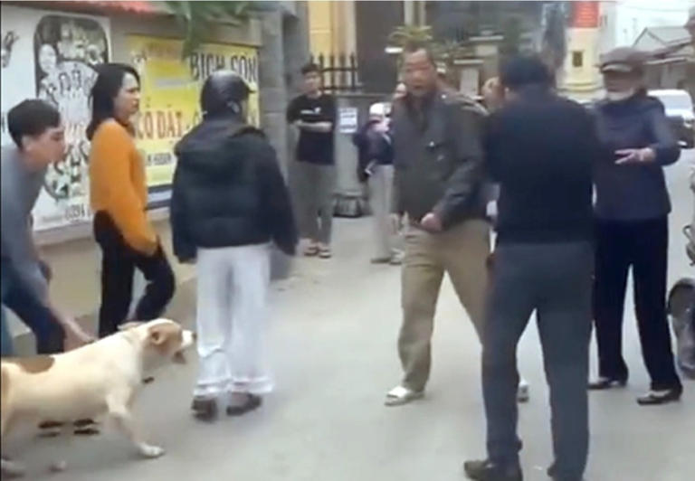 Father and son detained for unleashing aggressive dog to attack neighbor