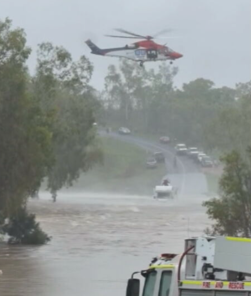 More than 16,000 livestock lost as flood levels keep rising in northern ...